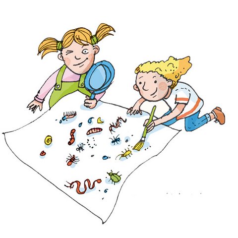 Kirche entdecken | Gottes wunderbare Schöpfung: Was krabbelt da?